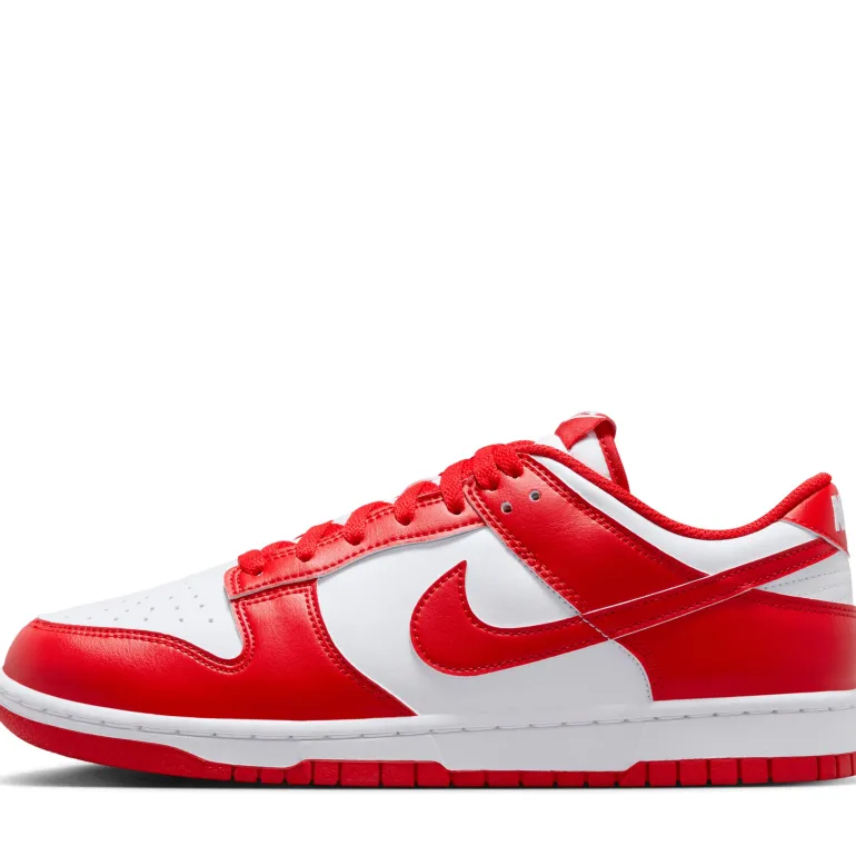Nike Dunk Low Retro - Sneaker Universal